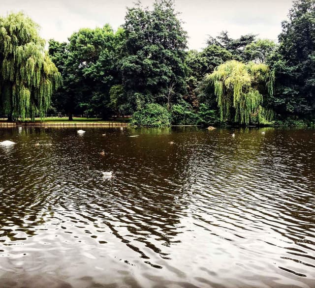 Dignity Funeral Directors